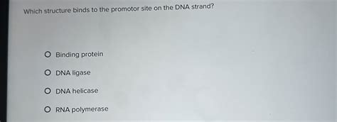 Solved Which Structure Binds To The Promotor Site On The Dna