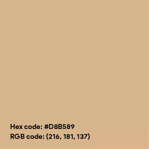 Oak Color Hex Code Is D8b589