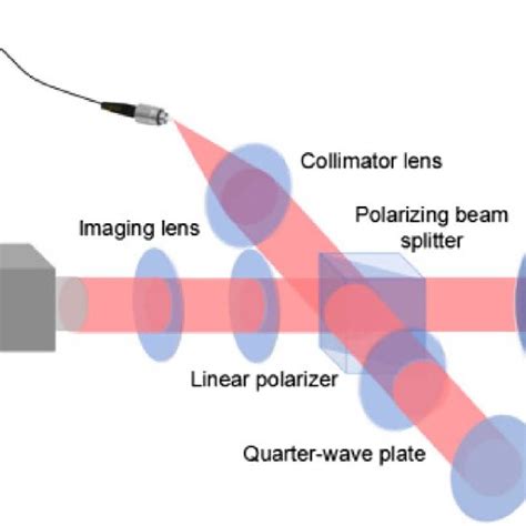 Configuration Of The Low Coherence Scanning Interferometer Download