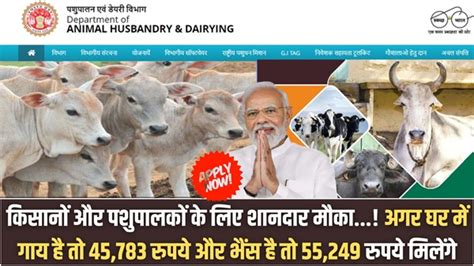 Animal Husbandry Scheme 2024 किसानों और पशुपालकों के लिए शानदार मौका