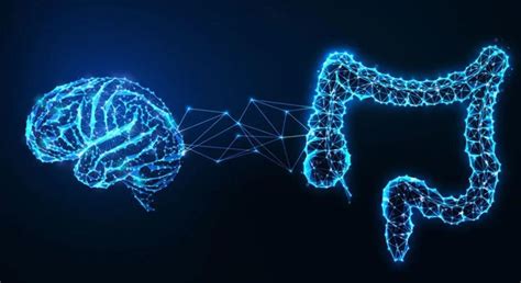 世界孤独症关注日：肠道菌群失衡与孤独症 肠道菌群 孤独症 微生物 失衡 世界 关注 儿童 机制 功能 障碍 疾病 大脑 解毒 健康界