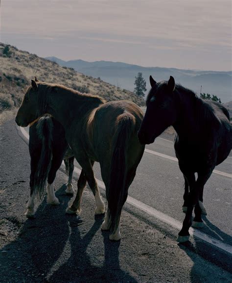 Still Life And Spontaneity By Damien Maloney Ignant