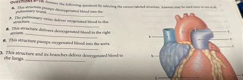 [answered] Questions 6 10 Answer The Following Questions By Selecting