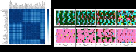 A Action Correlation Matrix Based On State Usage For X View Setup Of
