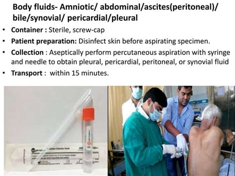 Samplecollection And Transport Of Sample PPTX