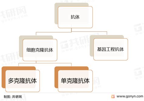 2022年中国单克隆抗体药物市场规模现状及行业竞争格局分析：行业呈现“强者越强，弱者越弱”两极分化格局 图 共研咨询共研网