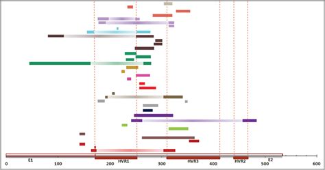 Location Of Recombination Breakpoints Detected In The E1e2region Download Scientific Diagram