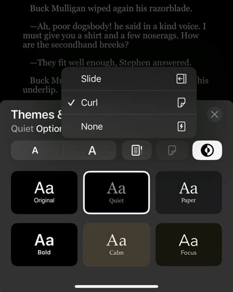 Page Turn Animation On Apple S Books App Is Back In Latest IOS Beta