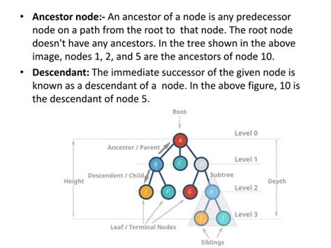 Tree Basic Concepts Of Tree In Data Structure Pptx