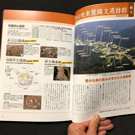発掘された日本列島2019 新発見考古速報 金蔵山古墳 ケカチ遺跡 岩櫃城跡 記念物100年 日本史 売買されたオークション情報yahoo
