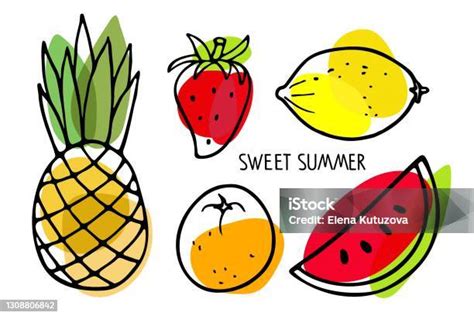 여름 제철 과일 세트 수박 파인애플 딸기 레몬 오렌지 과일 손으로 그린 스케치 고립 밝은 과일 유기농 벡터 식품 에코 건강 성분 포스터 배너 쿠폰 개체 그룹에 대한 스톡