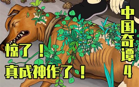 7000字全网最细解读乡村巴士献给旧时代的残党 哔哩哔哩