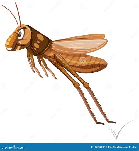 A Brown Grasshopper Jumping Stock Vector Illustration Of Icon Design