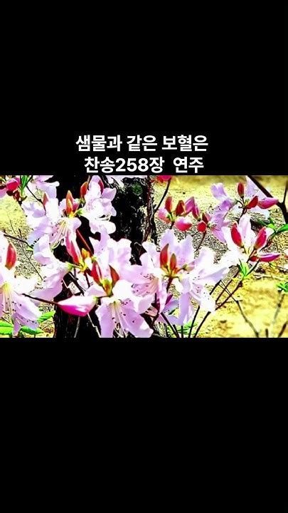 샘물과 같은 보혈은 찬송258장 연주 Youtube