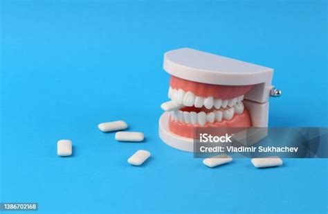 치아와 파란색 배경에 껌 패드를 츄잉 인간의 턱 모델 치과 진료 개념 0명에 대한 스톡 사진 및 기타 이미지 0명 개념