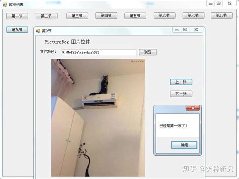 C WinForm界面设计教程第 节图片预览 知乎