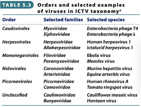 Biol 240 Midterm 2 Flashcards Quizlet