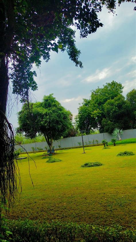 Mital V Vejani On Linkedin Nature Greenery Sunset Wellness Mindfulness Refresh