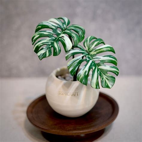 白斑龜背芋－手工革製小盆栽 送禮 Sishicraft 肆拾革製｜植栽盆栽人氣榜 Pinkoi
