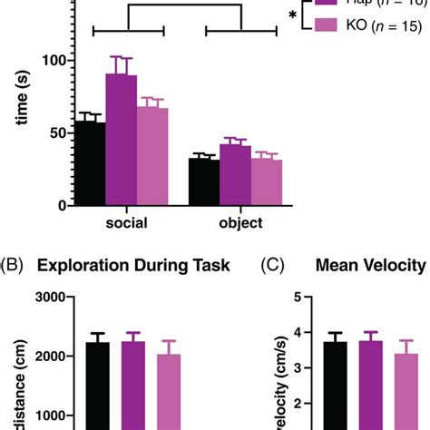Cav13 Ko Mice Do Not Display Social Interaction Deficits A All