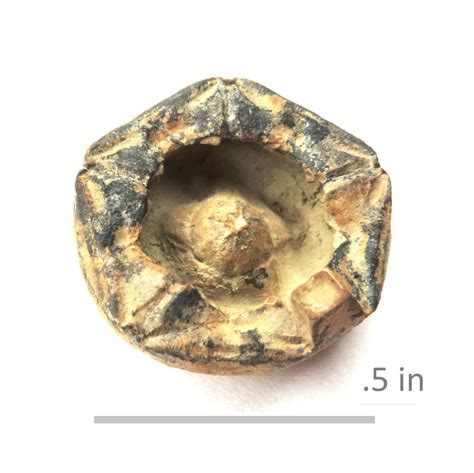 Crinoid Calyx Pennsylvanian Texas Member Collections The Fossil Forum