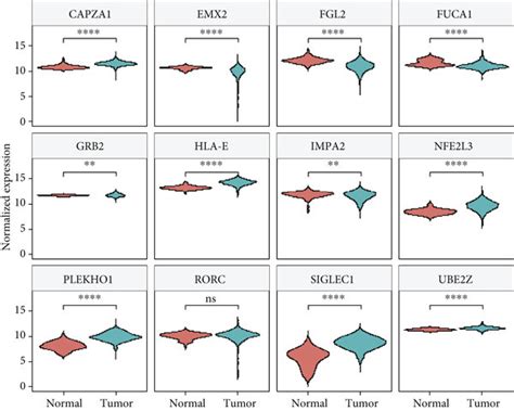 Analysis Of Expression Of The 12 Hub Genes During KIRC Tumorigenesis