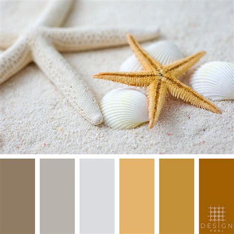 Sandy Beaches Color Palette Beach Color Palettes Color Palette Color Palette Design
