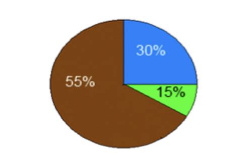 Data Literacy Exam Lecture Flashcards Quizlet
