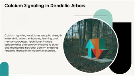Dendritic Arbors Powerpoint Presentation And Slides Ppt Sample Slideteam
