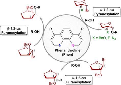 Phenanthroline Catalysis In Stereoselective 12 Cis Glycosylations Accounts Of Chemical Research