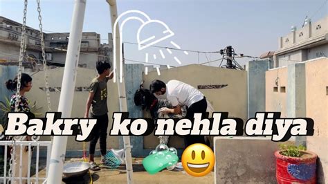 Bakry Ko Nehla Diya🚿 Bht Tang Kiya Chiku Ny🥹 Youtube