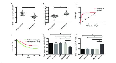 Expression And Clinical Significance Of Xist In Rb A Expression Of