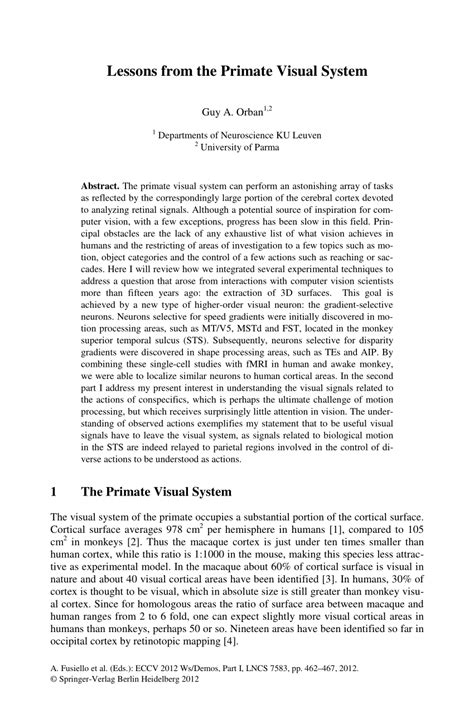 Pdf Lessons From The Primate Visual System