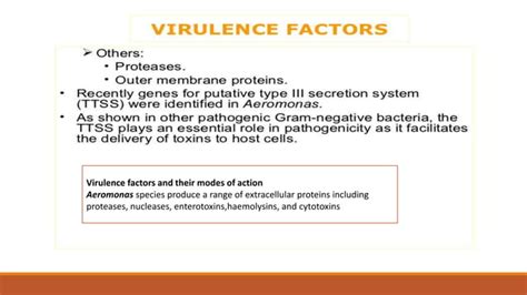 Pathogenecity And Virulence Factor Of Aeromonas Spp Pptx