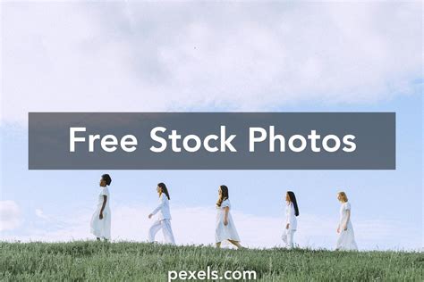 Agricultural Diversity Photos Download The Best Free Agricultural