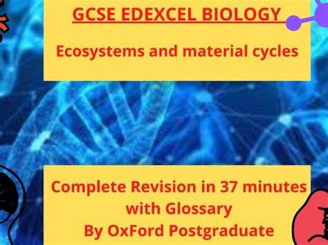 Gcse Edexcel Biology Ecosystems And Material Cycles Complete Revision