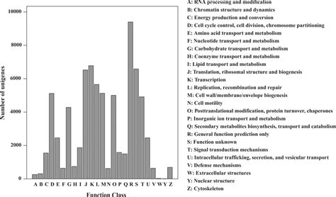 Histogram Of The Cog Clusters Of Orthologous Groups Functional