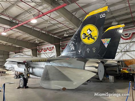 F 14 Tomcats