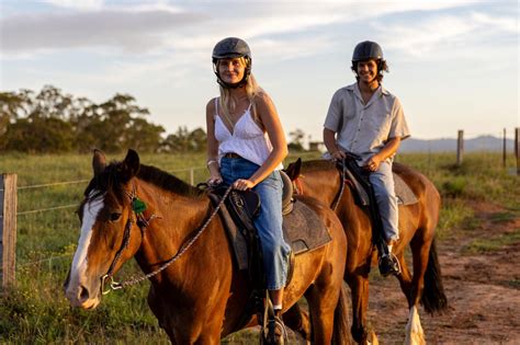 1 Hour Horse Ride Bushland Trail Mcdonalds Surprize Fries Hunter