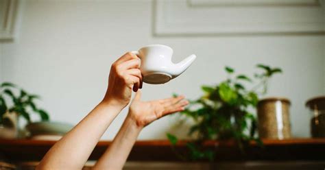 Allergic Rhinitis Self Care Tips And Home Remedies
