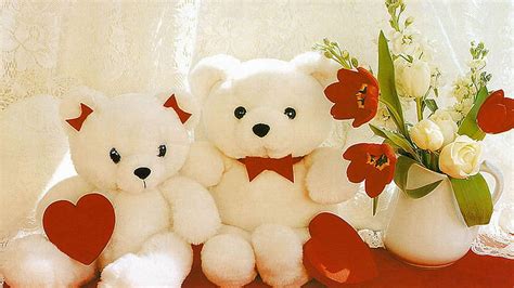 Teddy Hd Wallpaper For Puteri