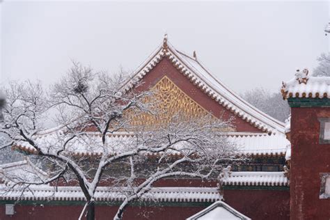 北京颐和园图片素材 北京颐和园设计素材 北京颐和园摄影作品 北京颐和园源文件下载 北京颐和园图片素材下载 北京颐和园背景素材 北京颐和园模板