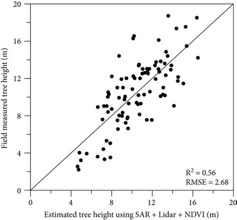 A Tree Height Derived By Sar And Lidar And B Tree Height Derived By Download Scientific