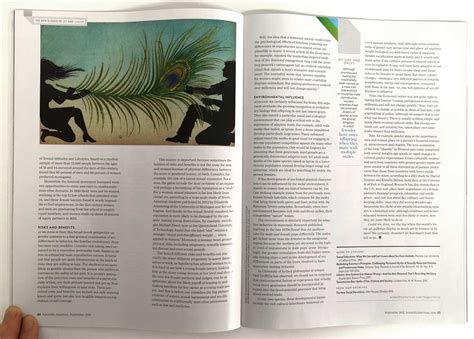 Scientific American Gender Myth Yuko Shimizu