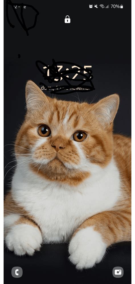 Got A Random Screensaver For My Phone And Everytime This Guy Showed Up