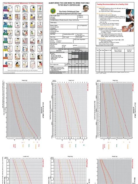 Eccd For Girl Layout Pdf