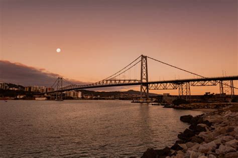 에르실리오 루스 다리 스톡 사진 및 일러스트 Istock