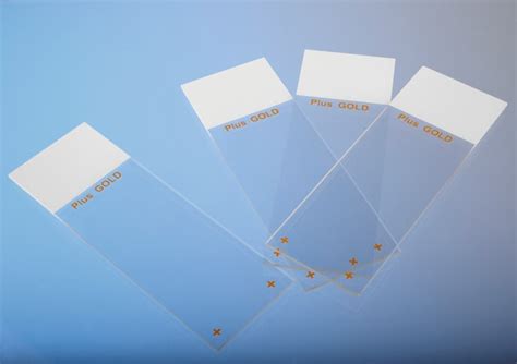 Epredia SuperFrost Ultra Plus GOLD Adhesion Slides Fisher Scientific