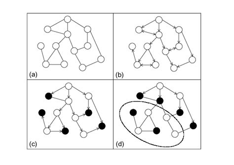 Broadcasting On A Simple Graph With Pass And Drop Nodes A Shows A Download Scientific