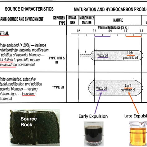 Quality Of Oils Generated From Terrestrial Source Rocks Of Differing Download Scientific
